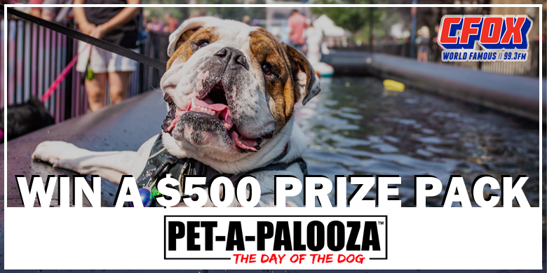 Enter To Win A $500 Prize Pack From Pet-A-Palooza! | CFOX