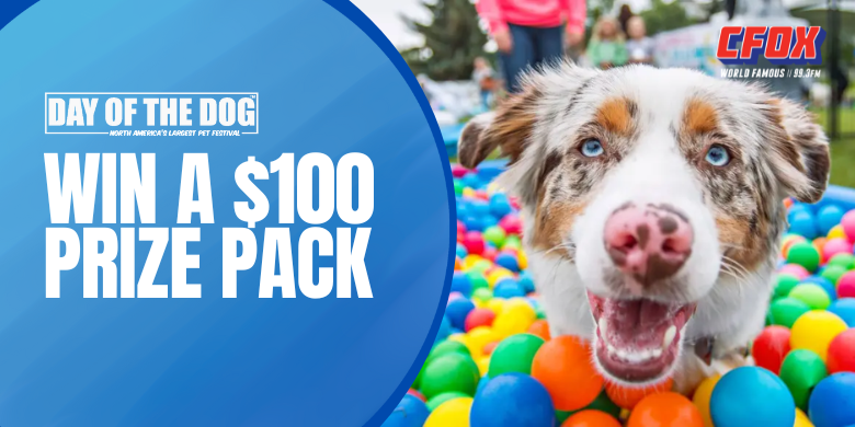 The Day Of The Dog’s Après Ski Event | CFOX